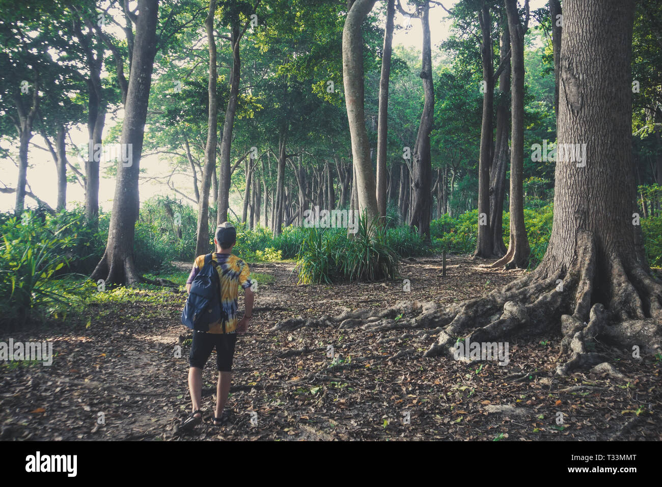 Nature walks andaman and nicobar hi-res stock photography and images ...