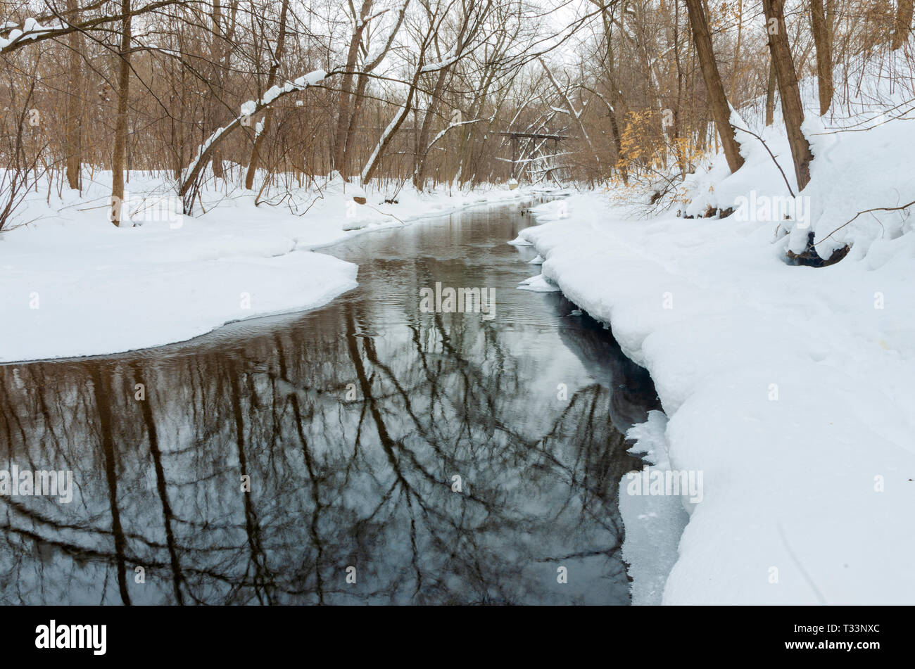 winter scenery with fresh fallen snow along creek in minnehaha parkway ...