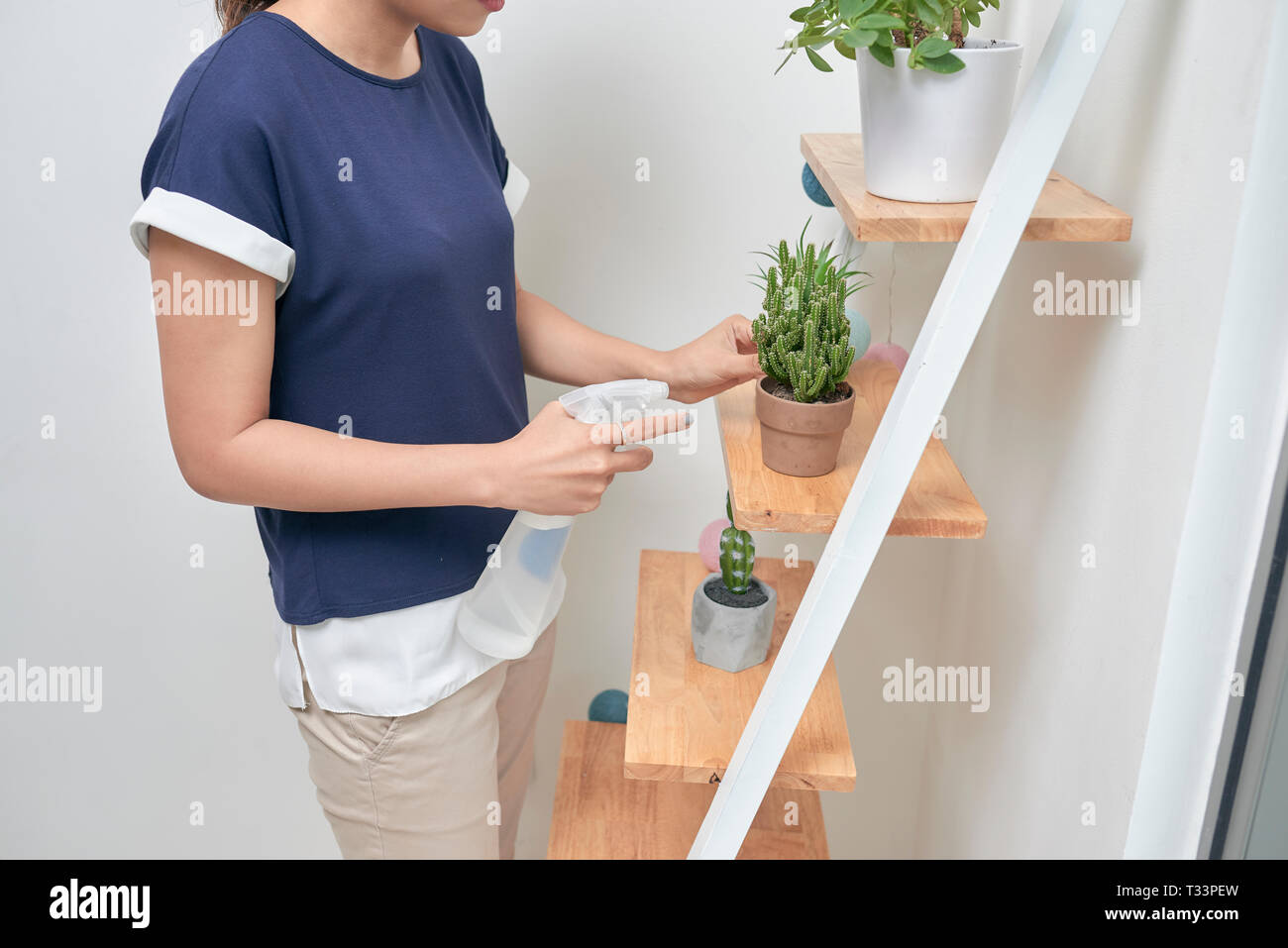 Asian water plants hi-res stock photography and images - Alamy