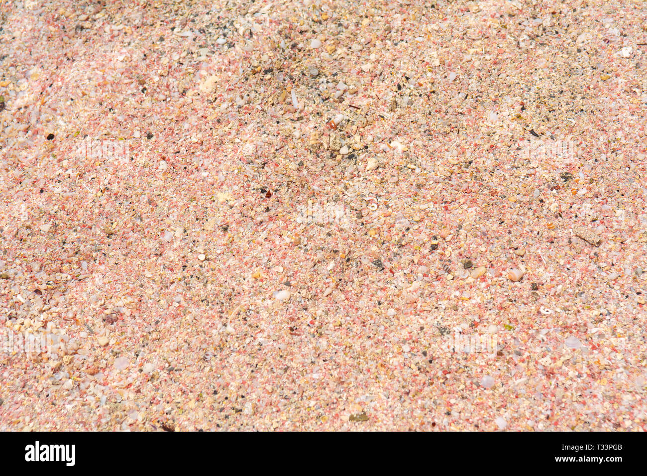 Texture of pink sand of Elafonisi beach. Crete Island, Greece Stock ...