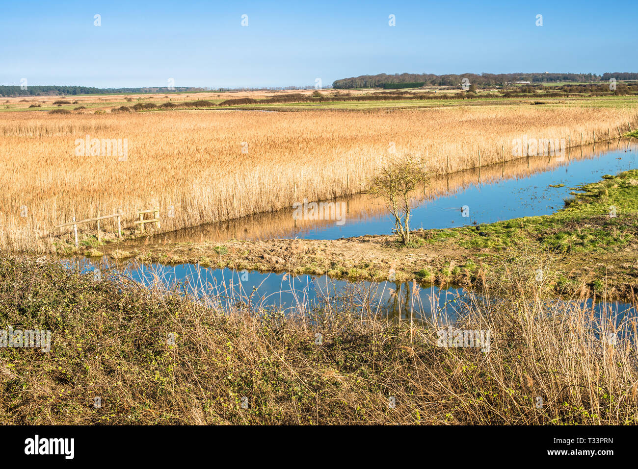 Salt marsh scenic hi-res stock photography and images - Alamy