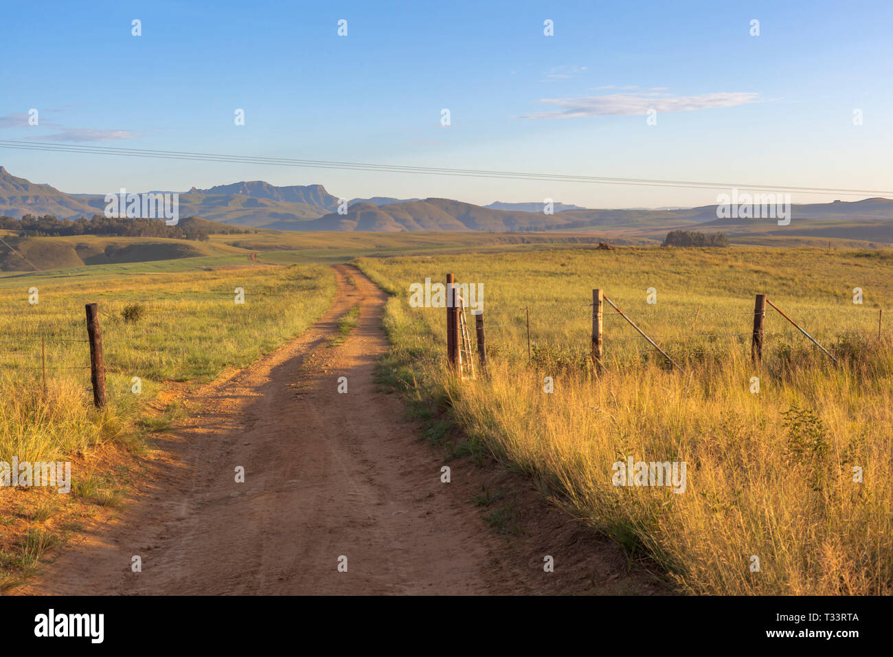 Open gate and farm road Stock Photo - Alamy