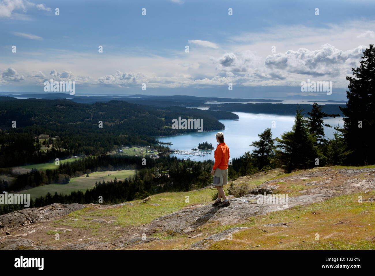 WA06529-00...WASHINGTON - View from Ship Peak on Turtleback Mountain ...