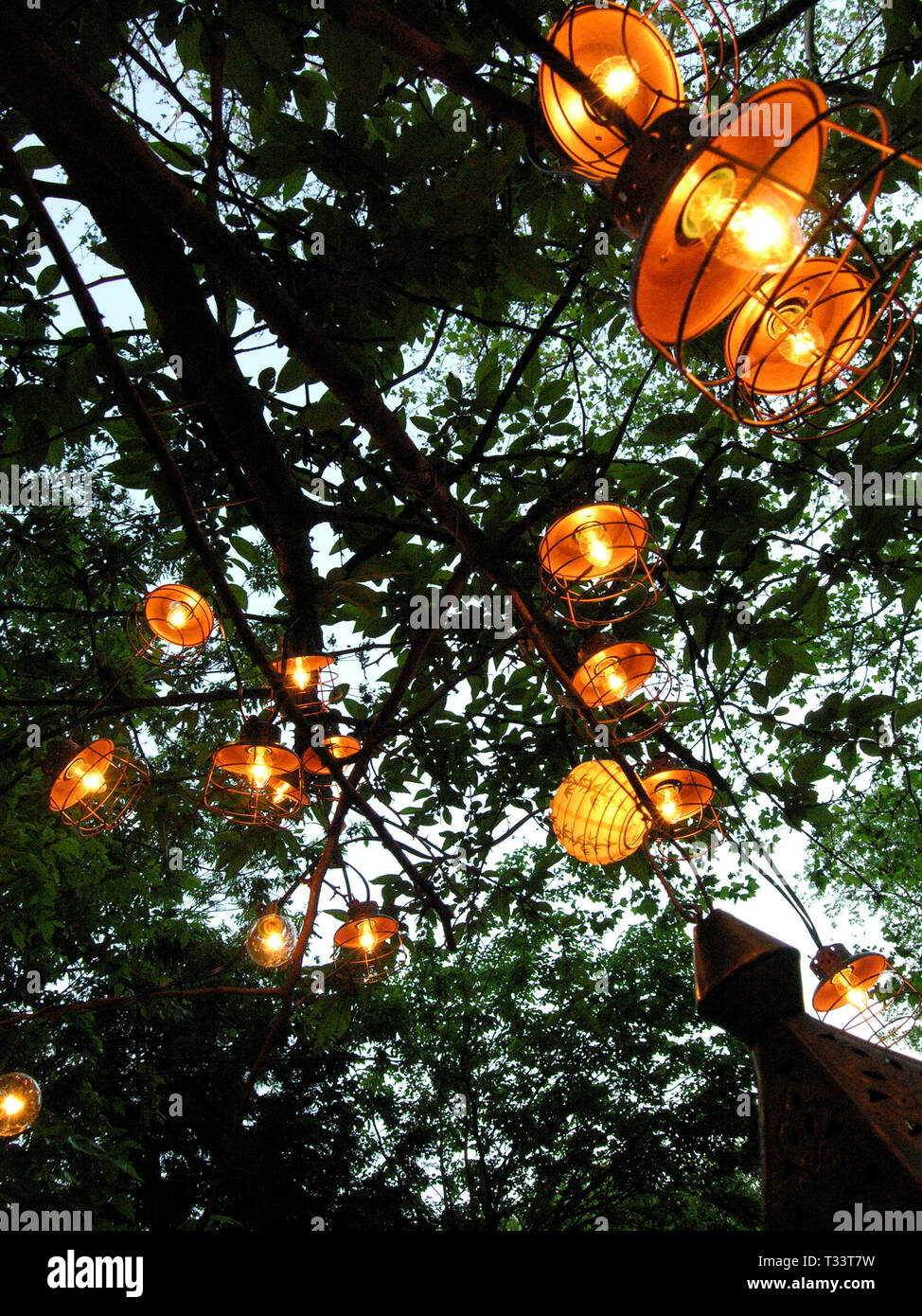 yellow orange lights on trees at desk Stock Photo - Alamy