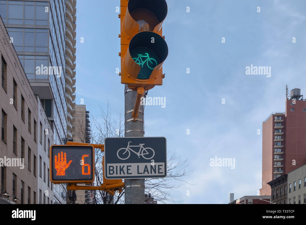 Bike laine sign and traffic light signal with six secpnd stop countdown ...