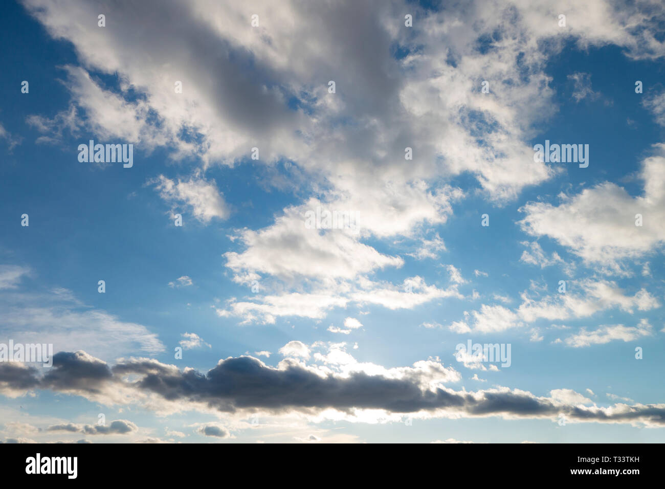 Strong light hi-res stock photography and images - Alamy
