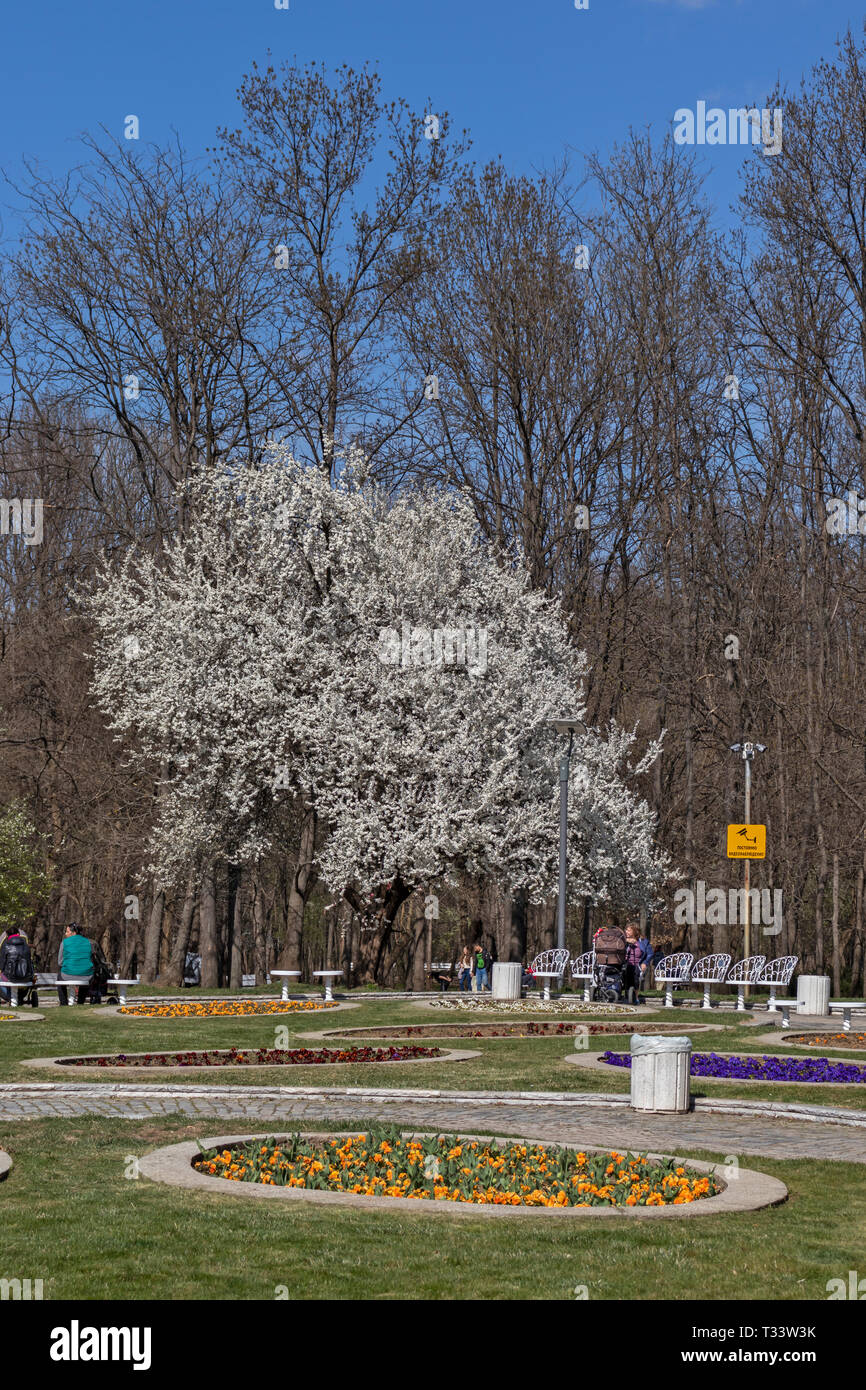 SOFIA, BULGARIA - MARCH 27, 2019: Amazing Spring landscape of South ...