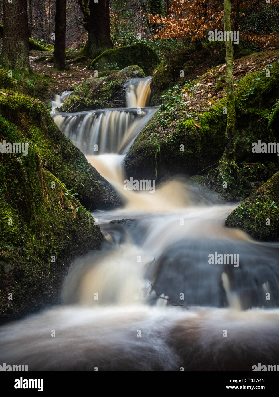 A small brook in Yorkshire, England running fast through a narrow ...