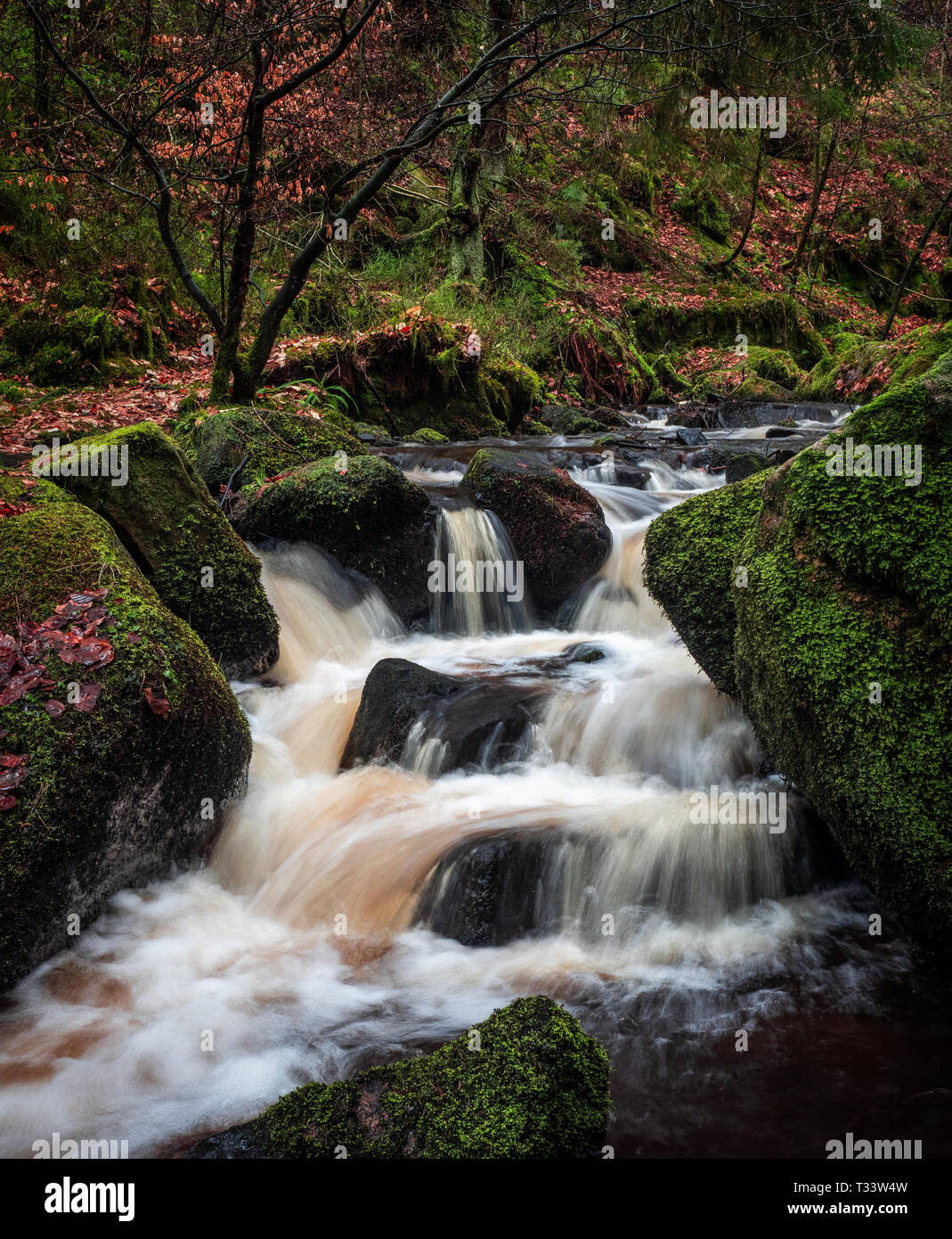 Small brook hi-res stock photography and images - Alamy