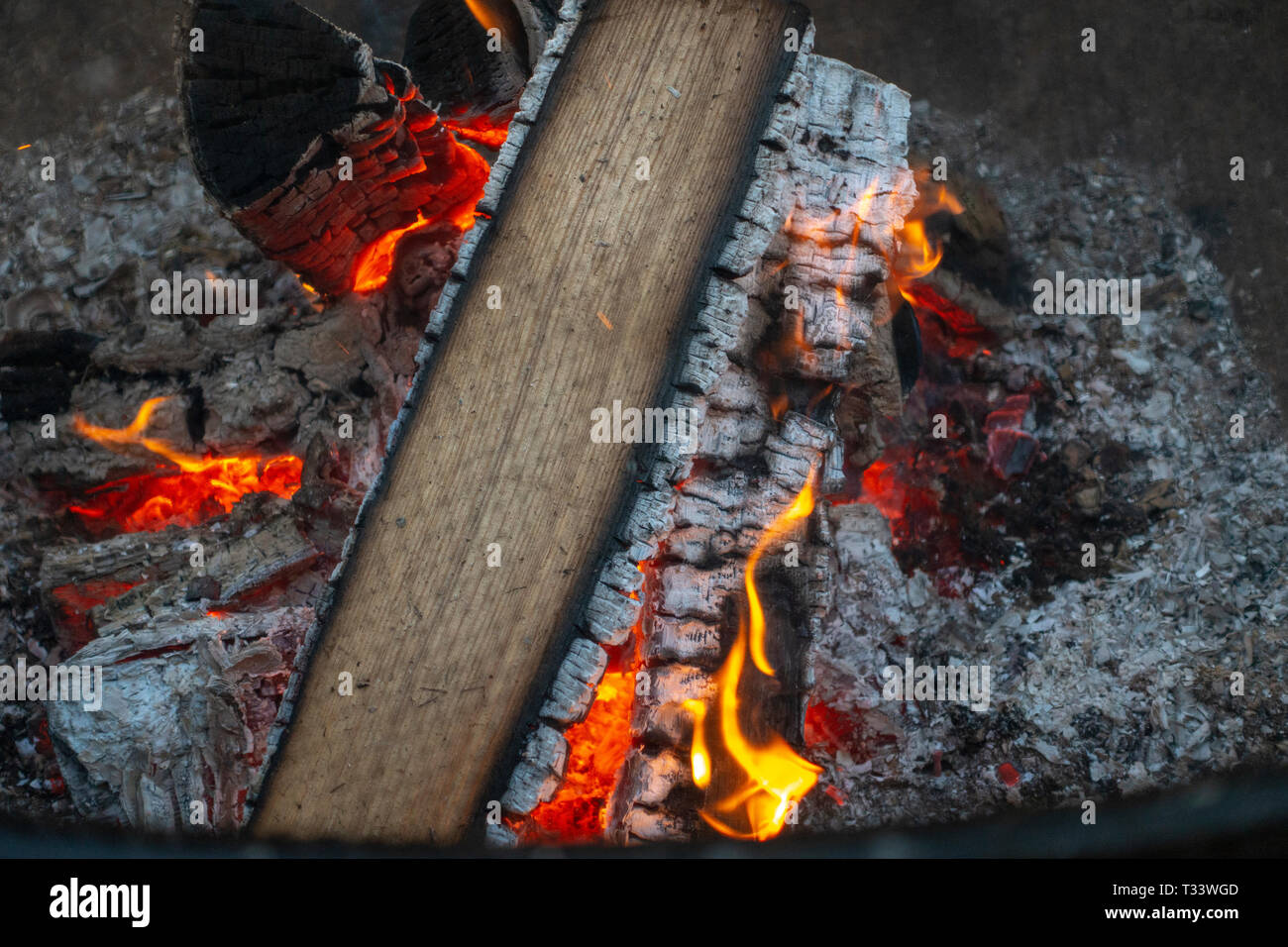 Burning tree hi-res stock photography and images - Alamy