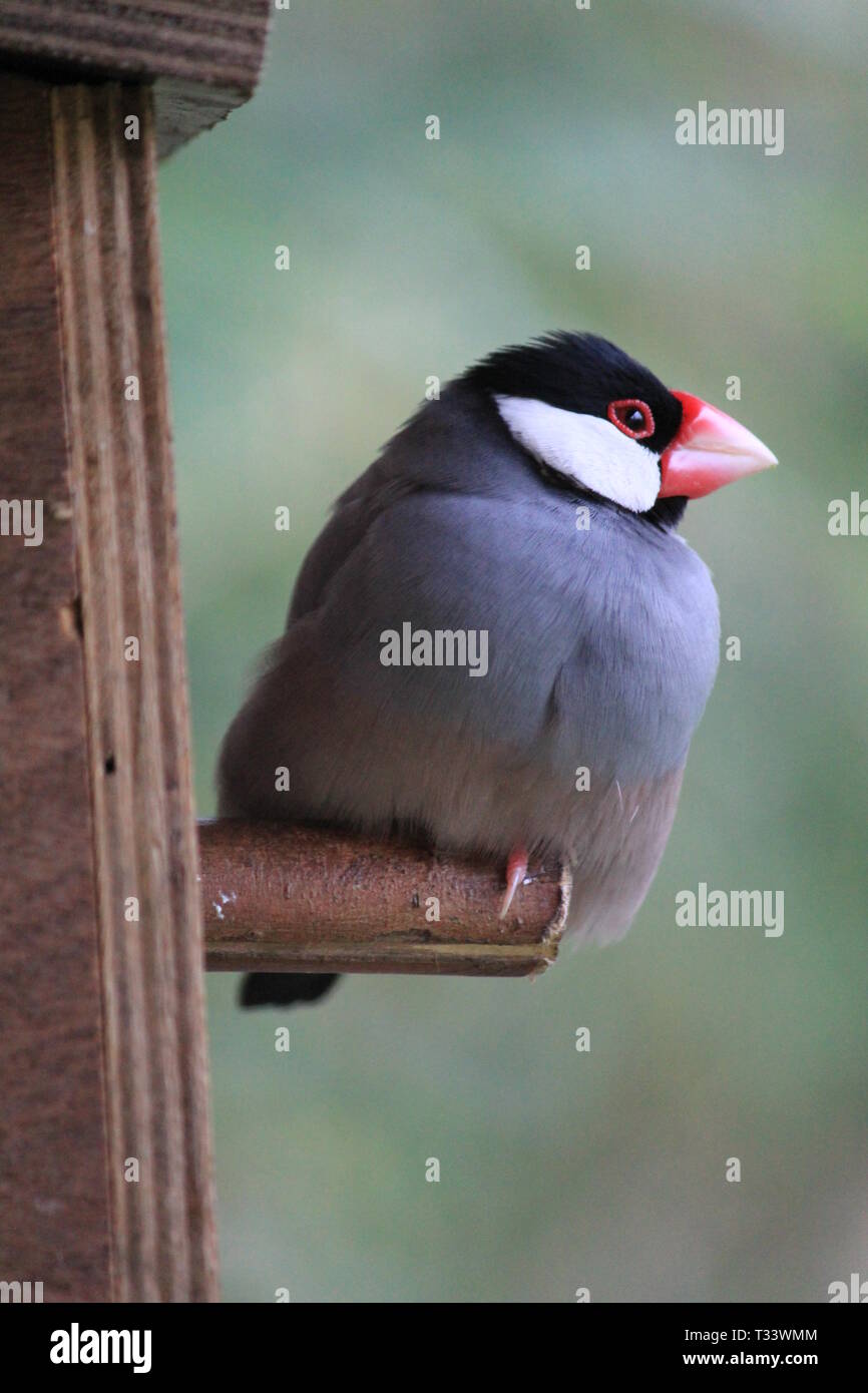 Taiwan puerto rico hi-res stock photography and images - Alamy