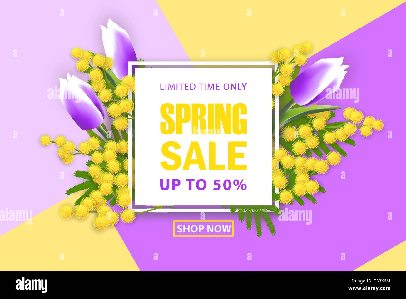 Mimosa bloom Stock Vector Images - Alamy