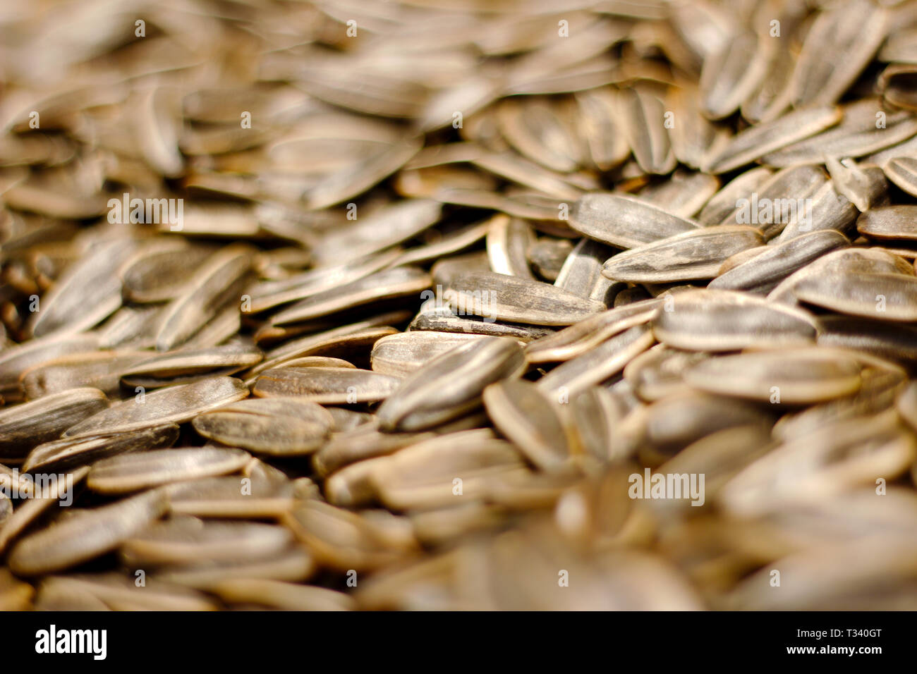 Pile of seeds hi-res stock photography and images - Alamy