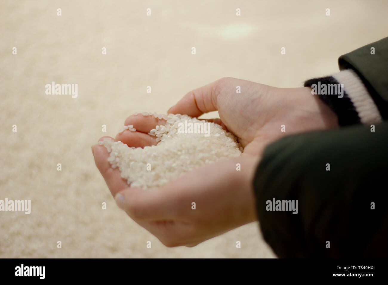 Woman holding rice grains with her hands at a supermarket Stock Photo ...