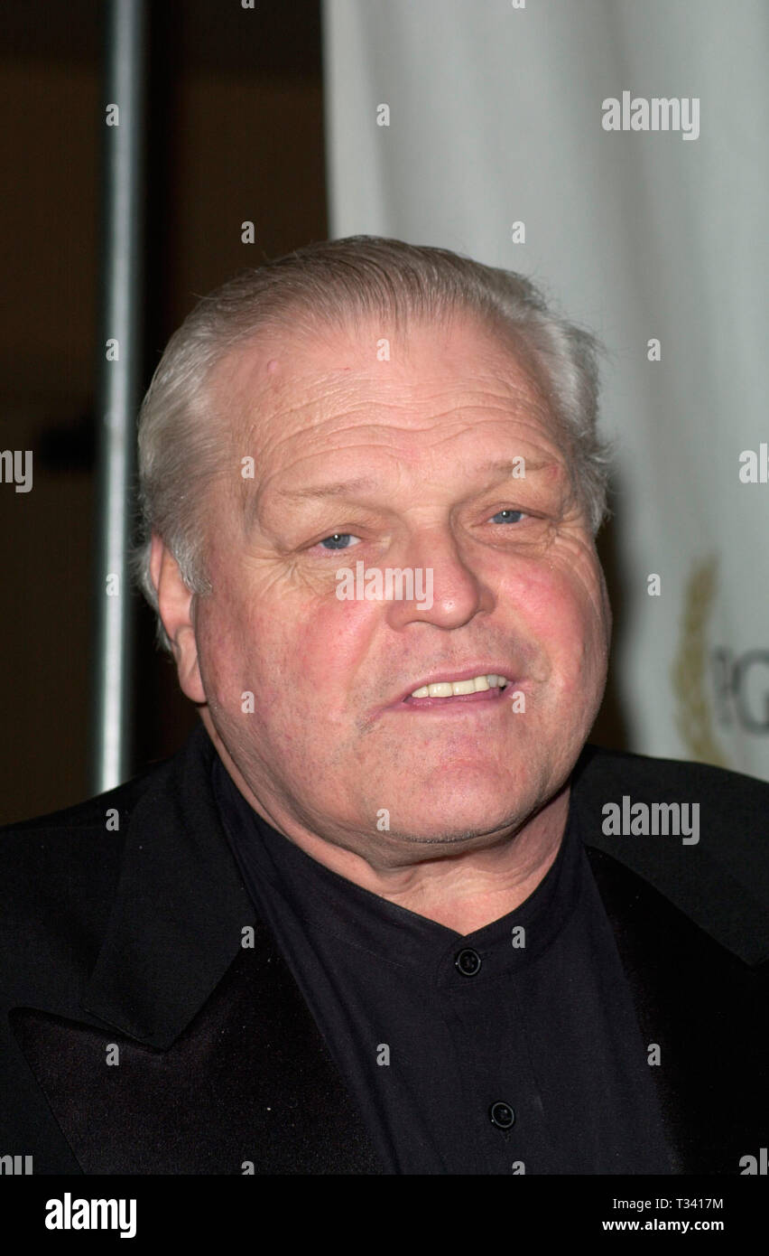 LOS ANGELES, CA. March 03, 2001: Actor BRIAN DENNEHY at the Producers ...