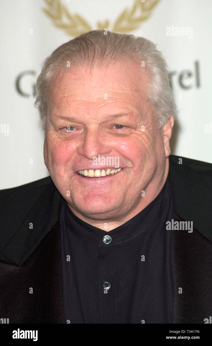 LOS ANGELES, CA. March 03, 2001: Actor BRIAN DENNEHY at the Producers ...