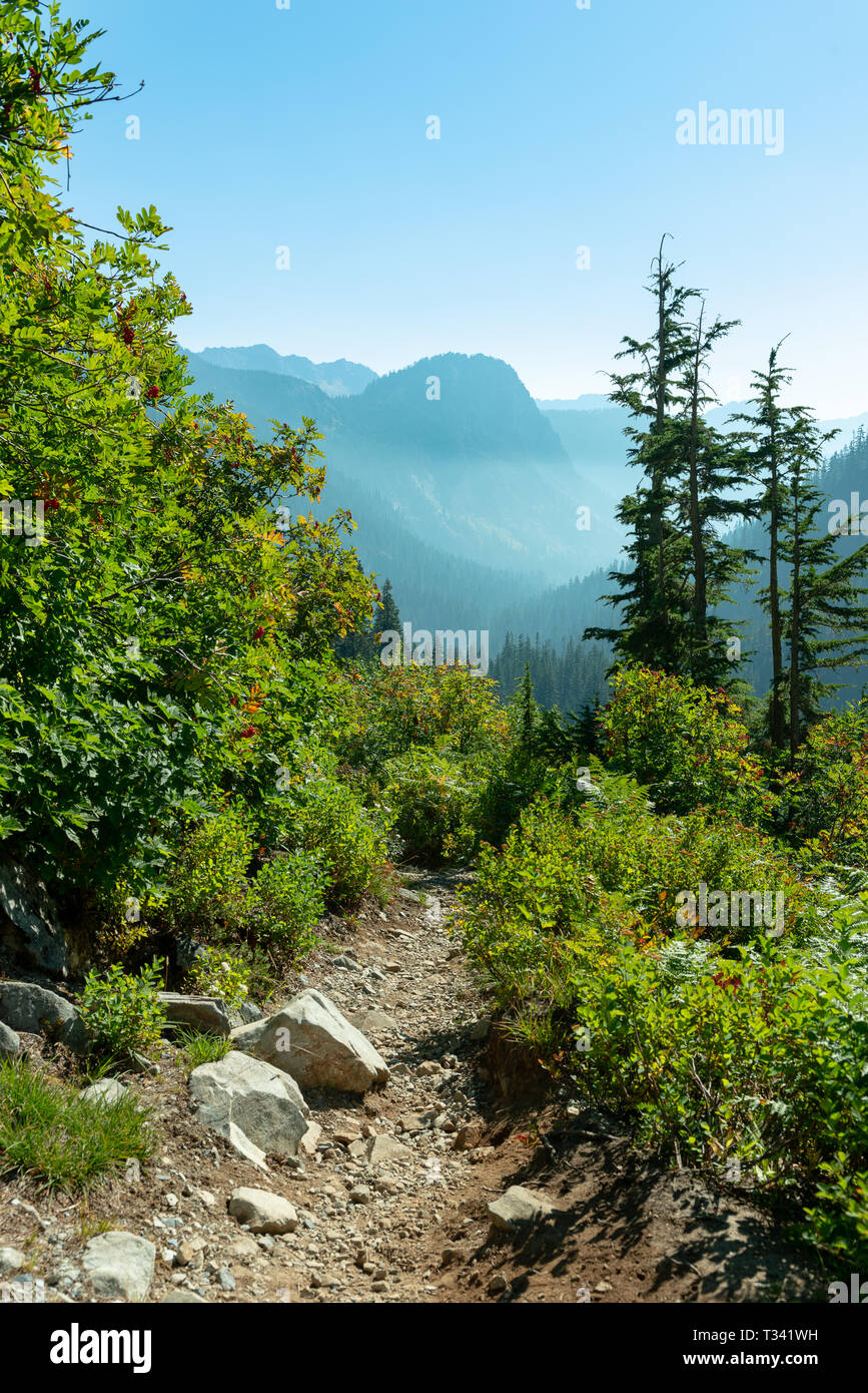 Source Lake trail in Washington, USA Stock Photo - Alamy