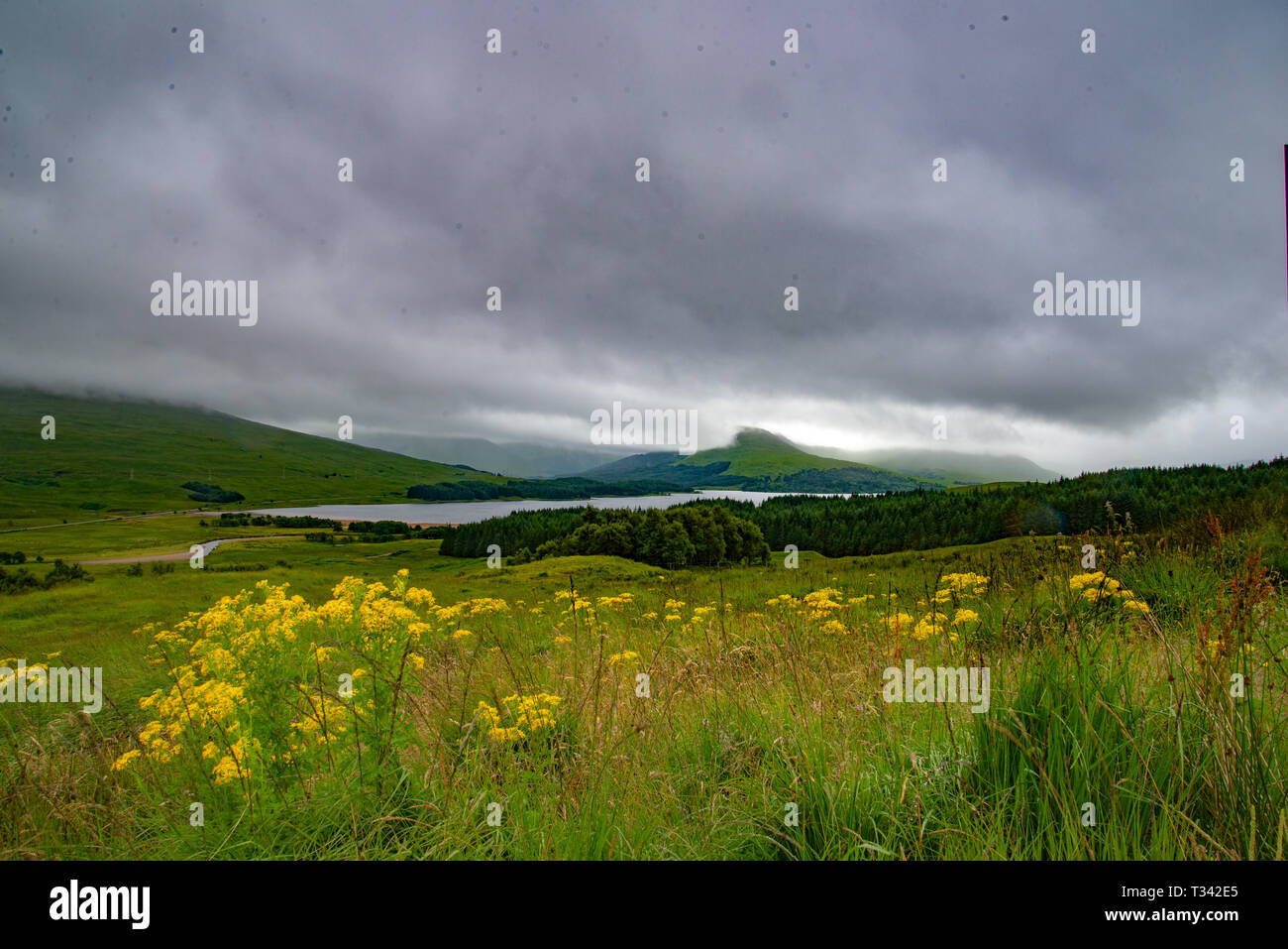 Lake tulla hi-res stock photography and images - Alamy