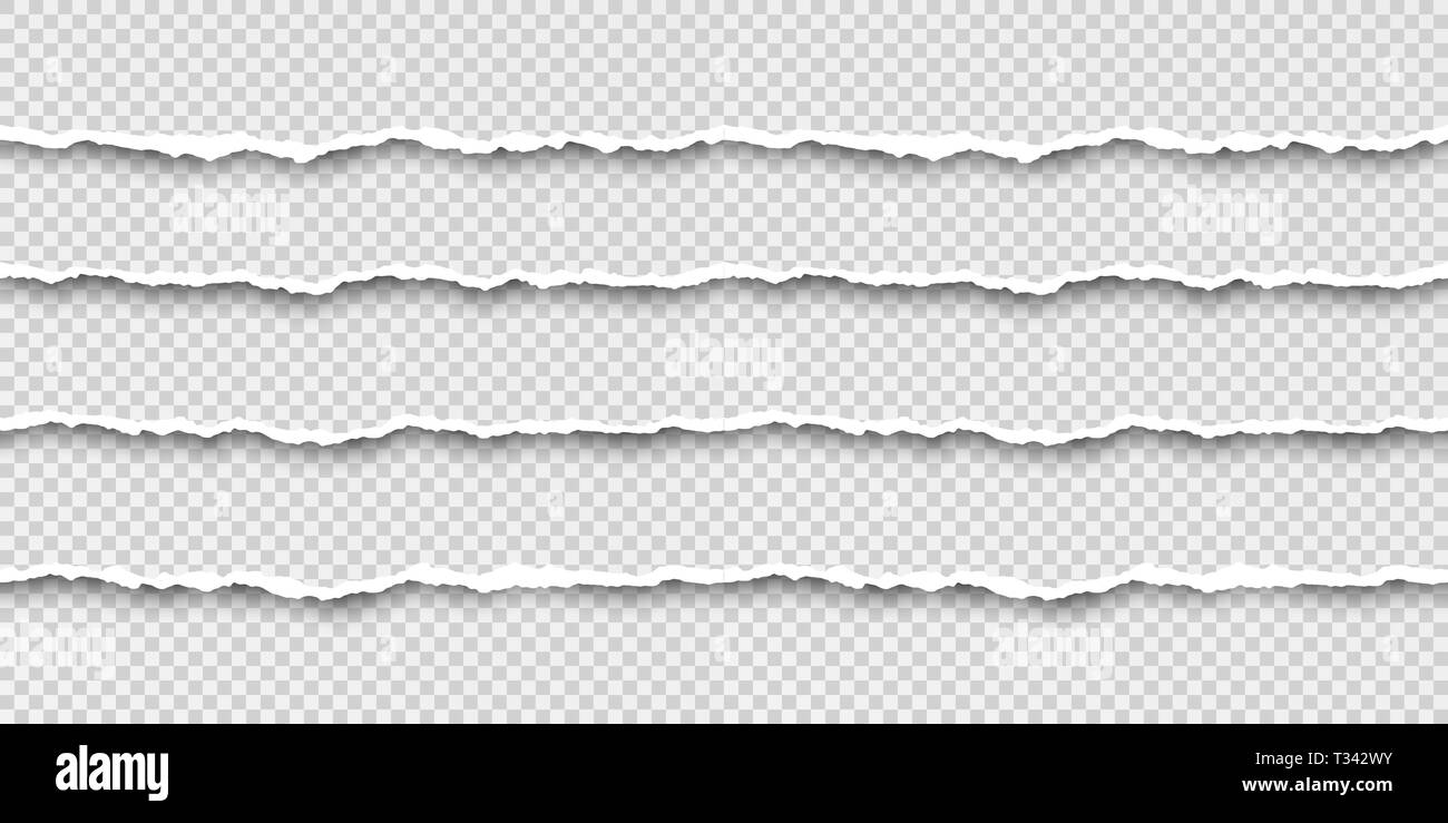 Set of tear seamless paper stripes. Paper texture with damaged edge ...
