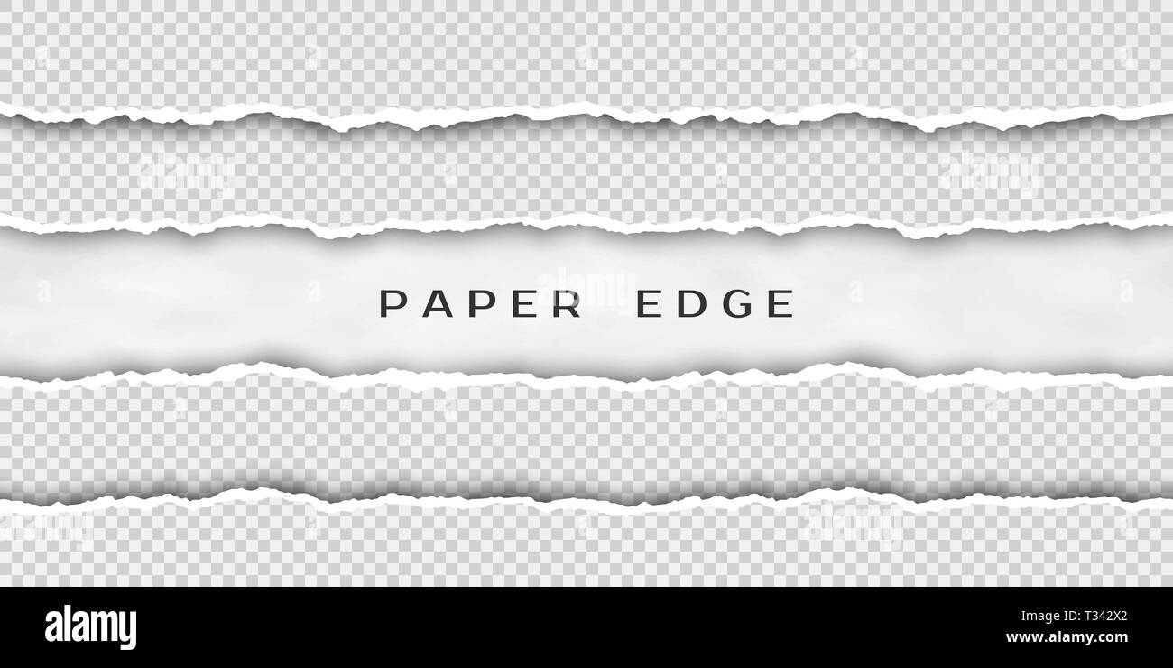 Paper tear border. Set of torn horizontal seamless paper stripes. Paper ...
