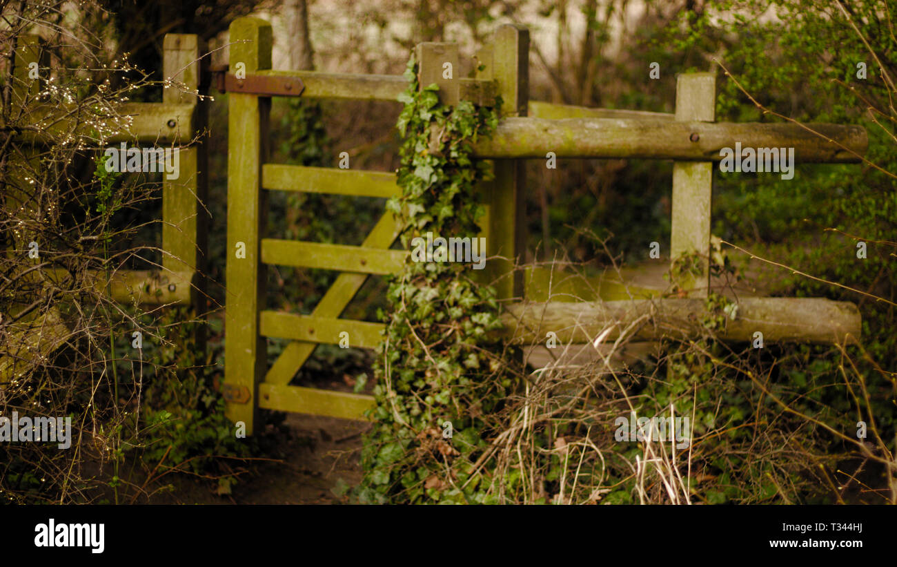 Leaf covered wooden country gate Stock Photo - Alamy