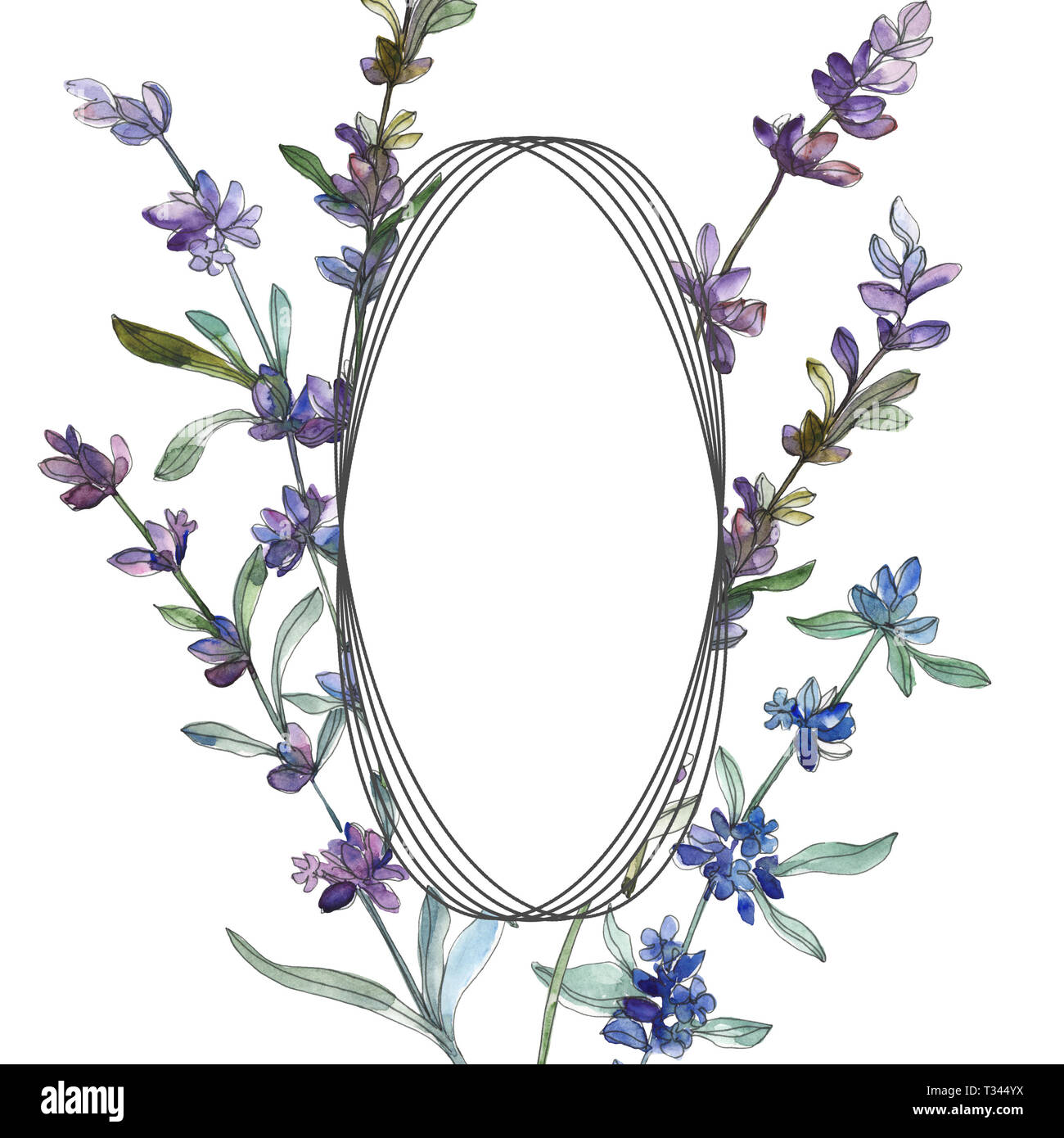 Lavender Flower Border Design