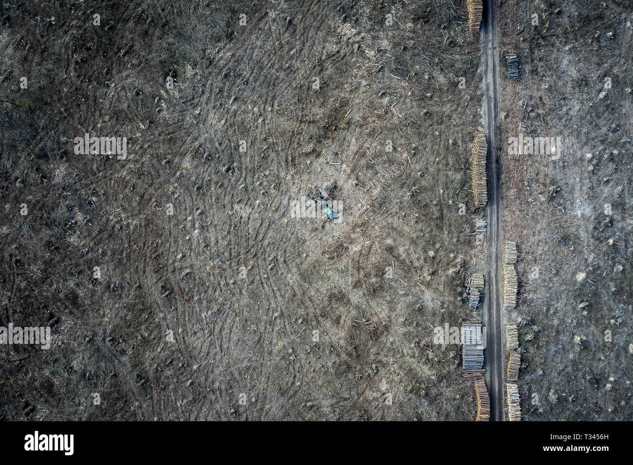 Flying above shocking deforestation, destroyed forest, Poland Stock ...