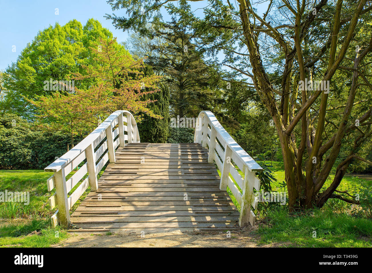 European wooden arch bridge in park during spring season Stock Photo ...