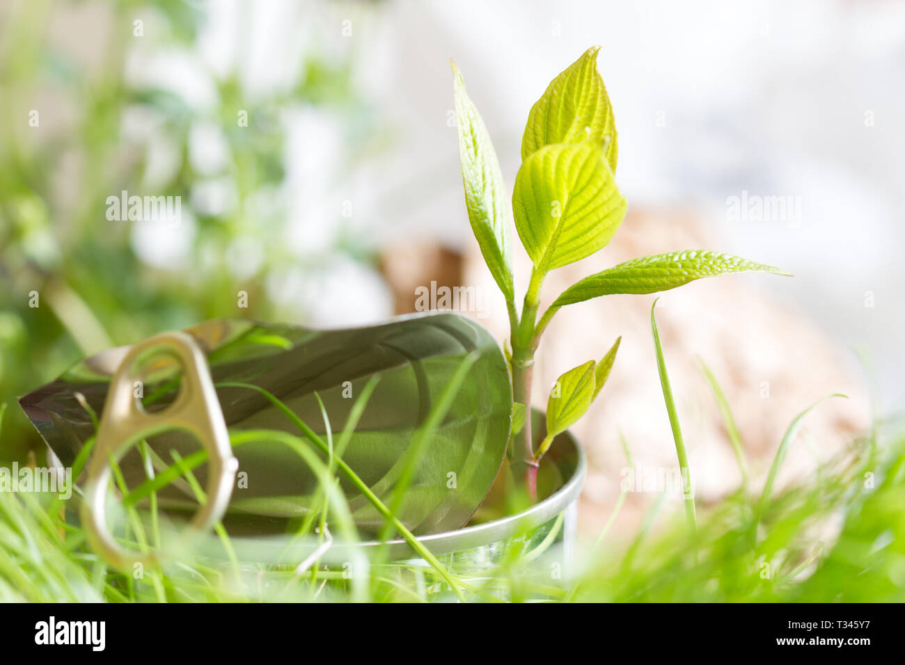 Garbage ecology ecosystem and adaptation concept with tin and plant ...