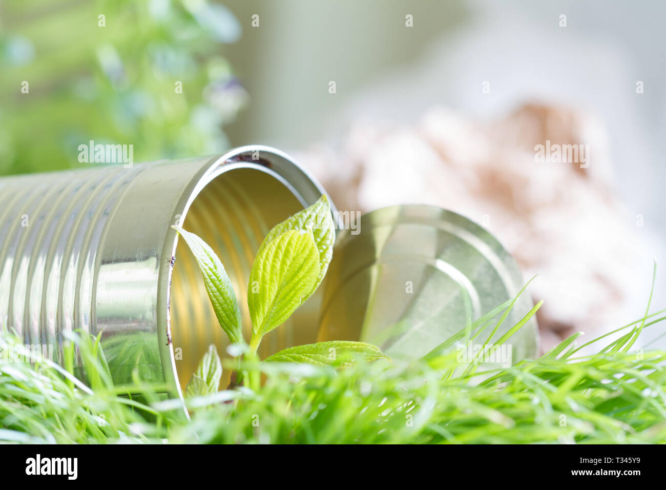 Garbage ecology ecosystem and adaptation concept with tin and plant ...