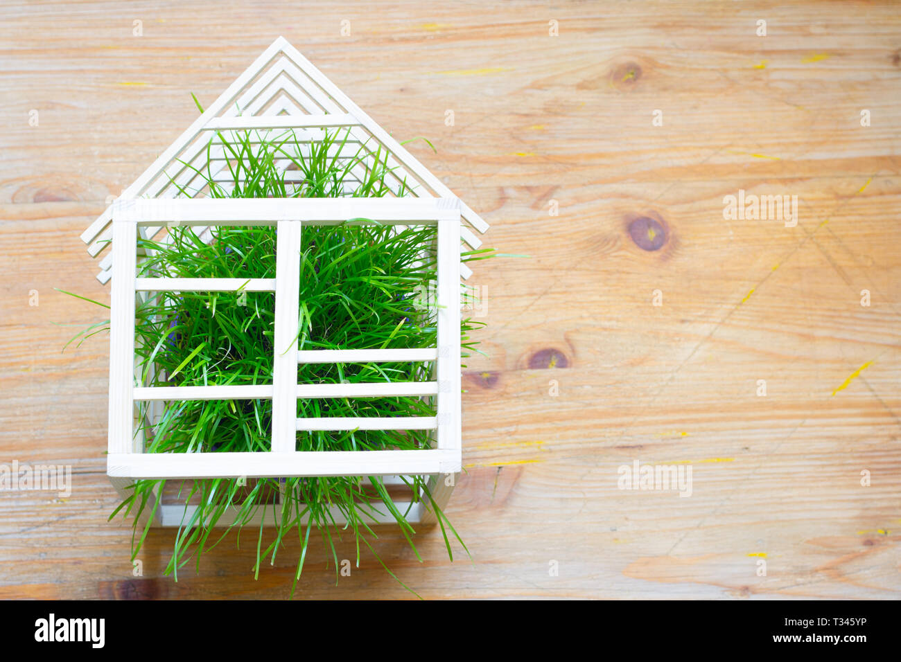 Wooden house and green grass abstract ecology construction concept ...