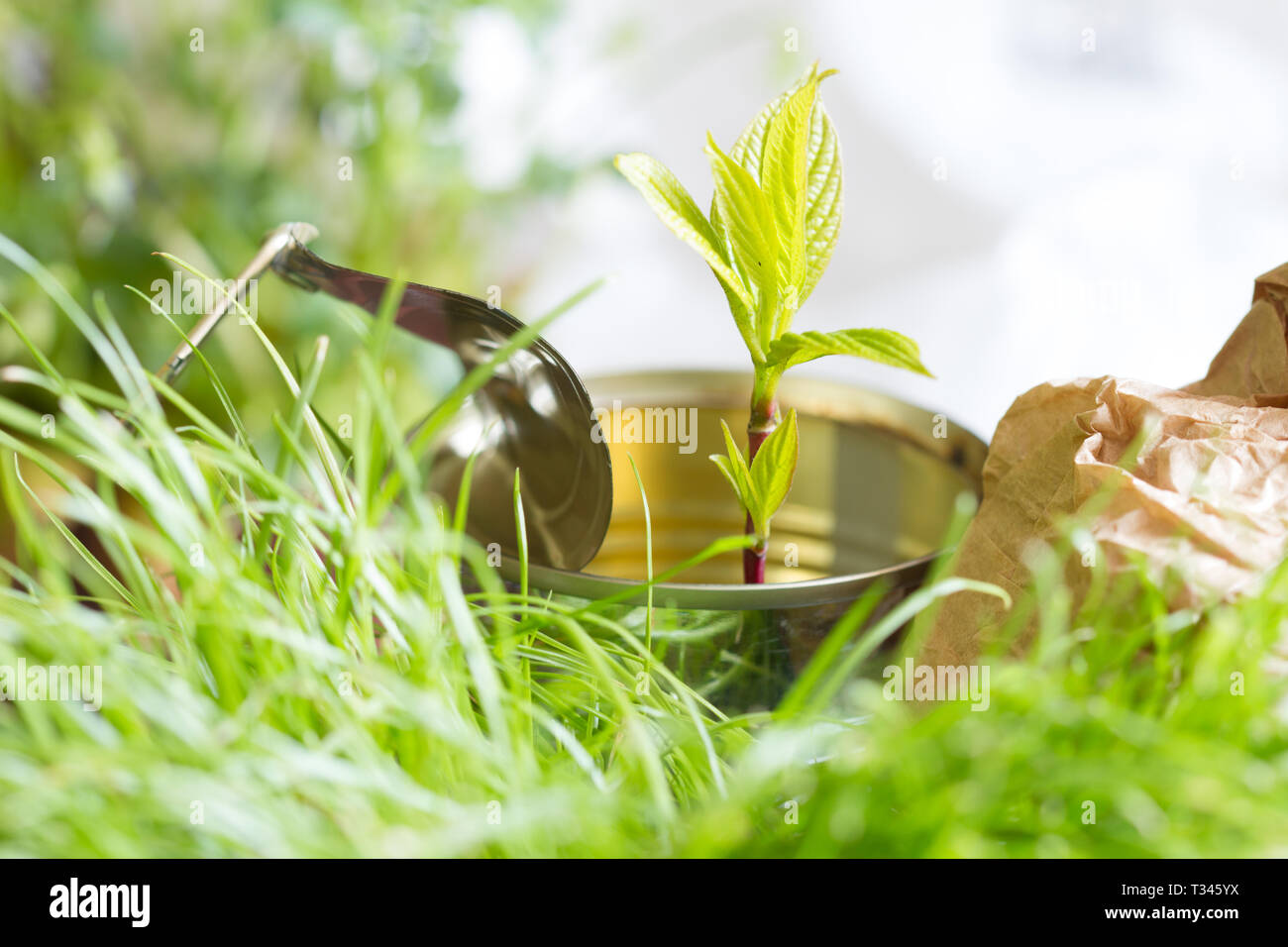 Garbage ecology ecosystem and adaptation concept with tin and plant ...