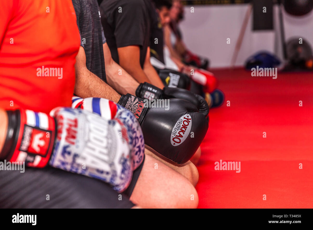 Kick boxing light contact hi-res stock photography and images - Alamy