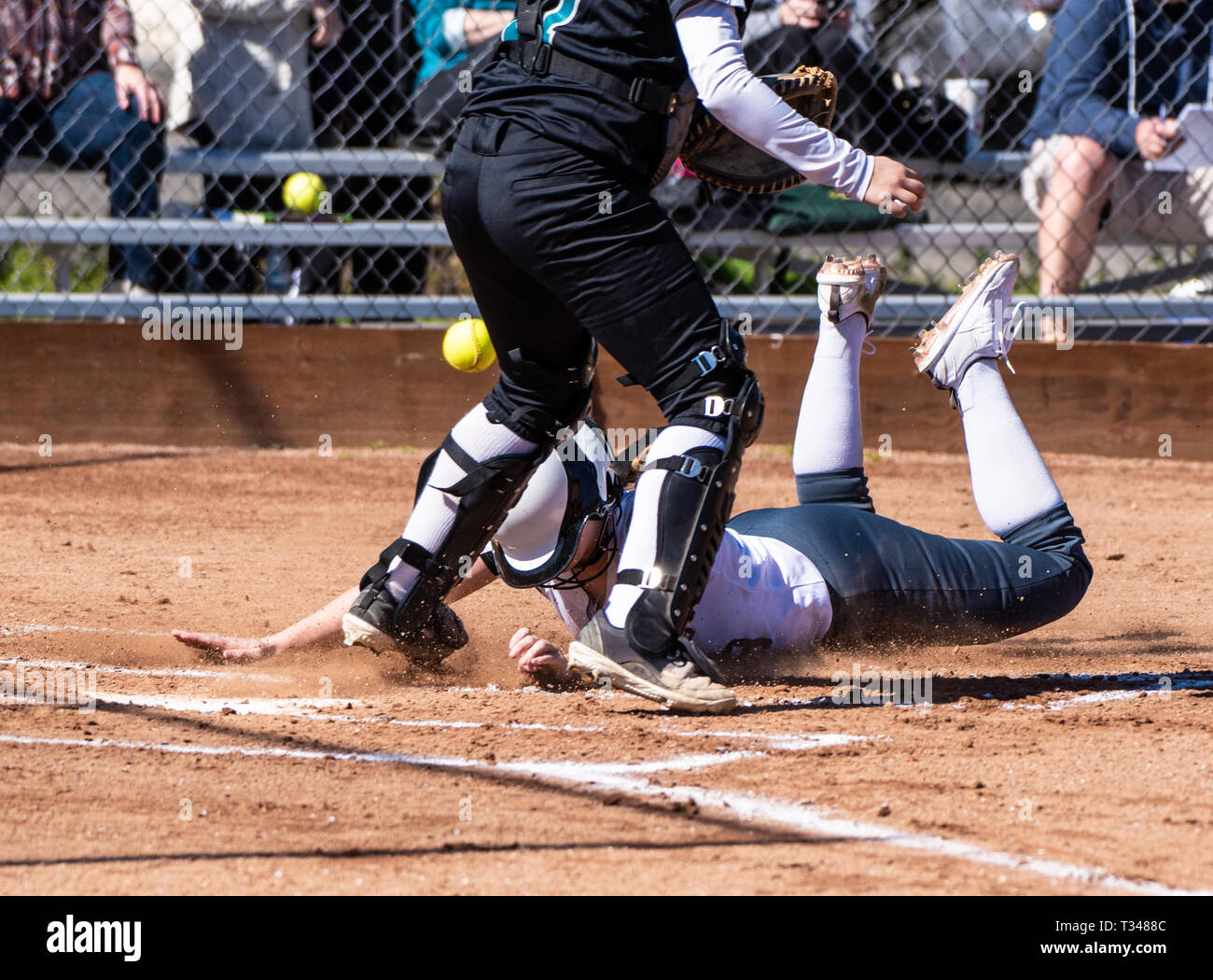 Aggressive base female base runner sliding safely into home plate as ...