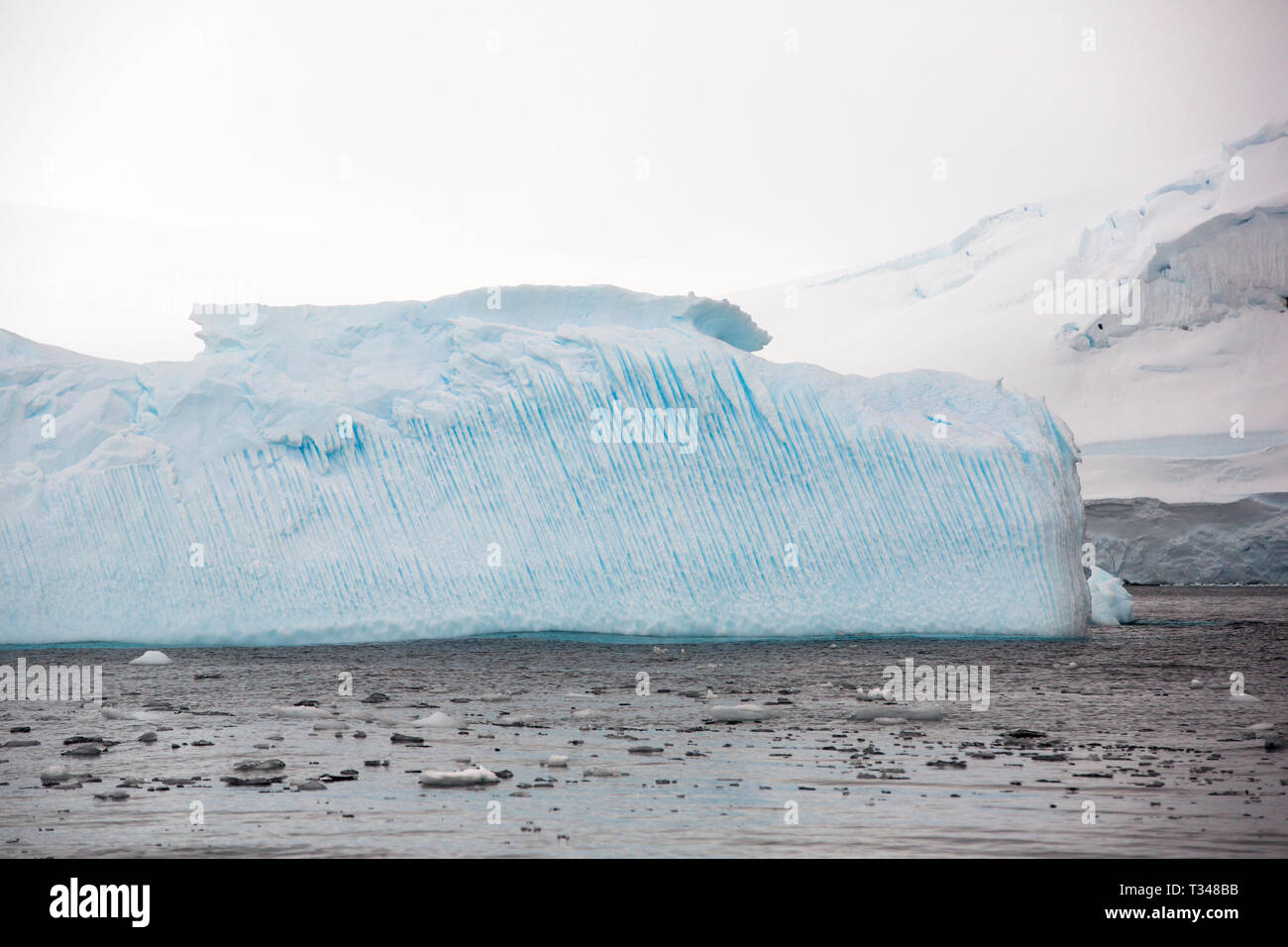 Icebergs off Anvers Island, in the Palmer Archipelago, Antarctica Stock ...