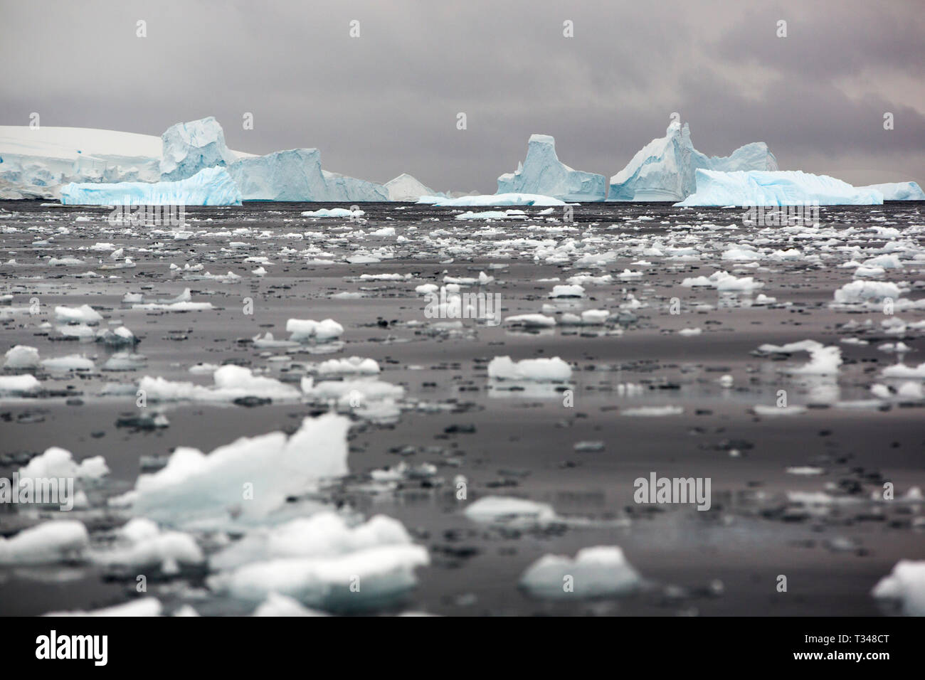 Icebergs off Anvers Island, in the Palmer Archipelago, Antarctica Stock ...