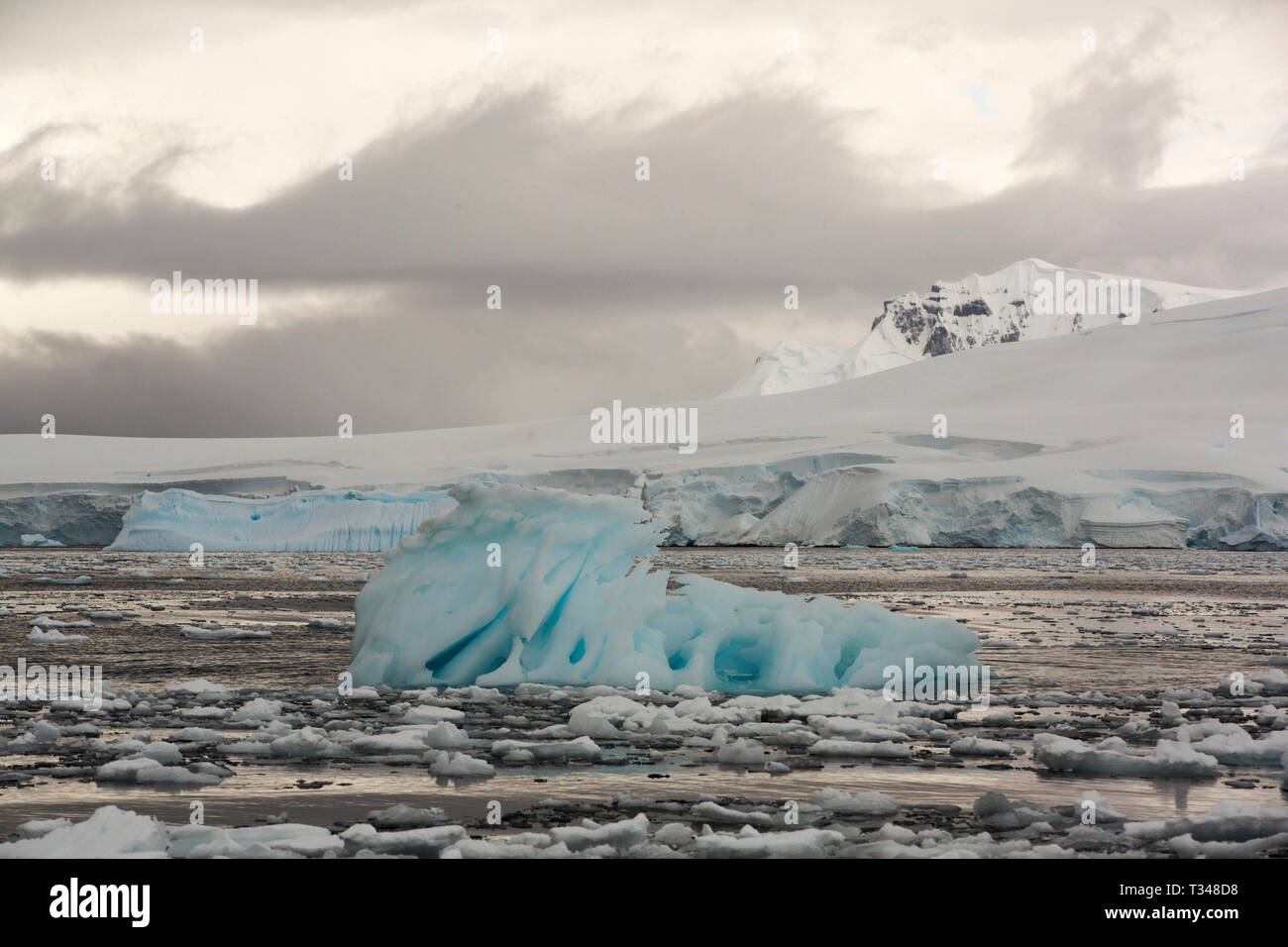 Icebergs off Anvers Island, in the Palmer Archipelago, Antarctica Stock ...