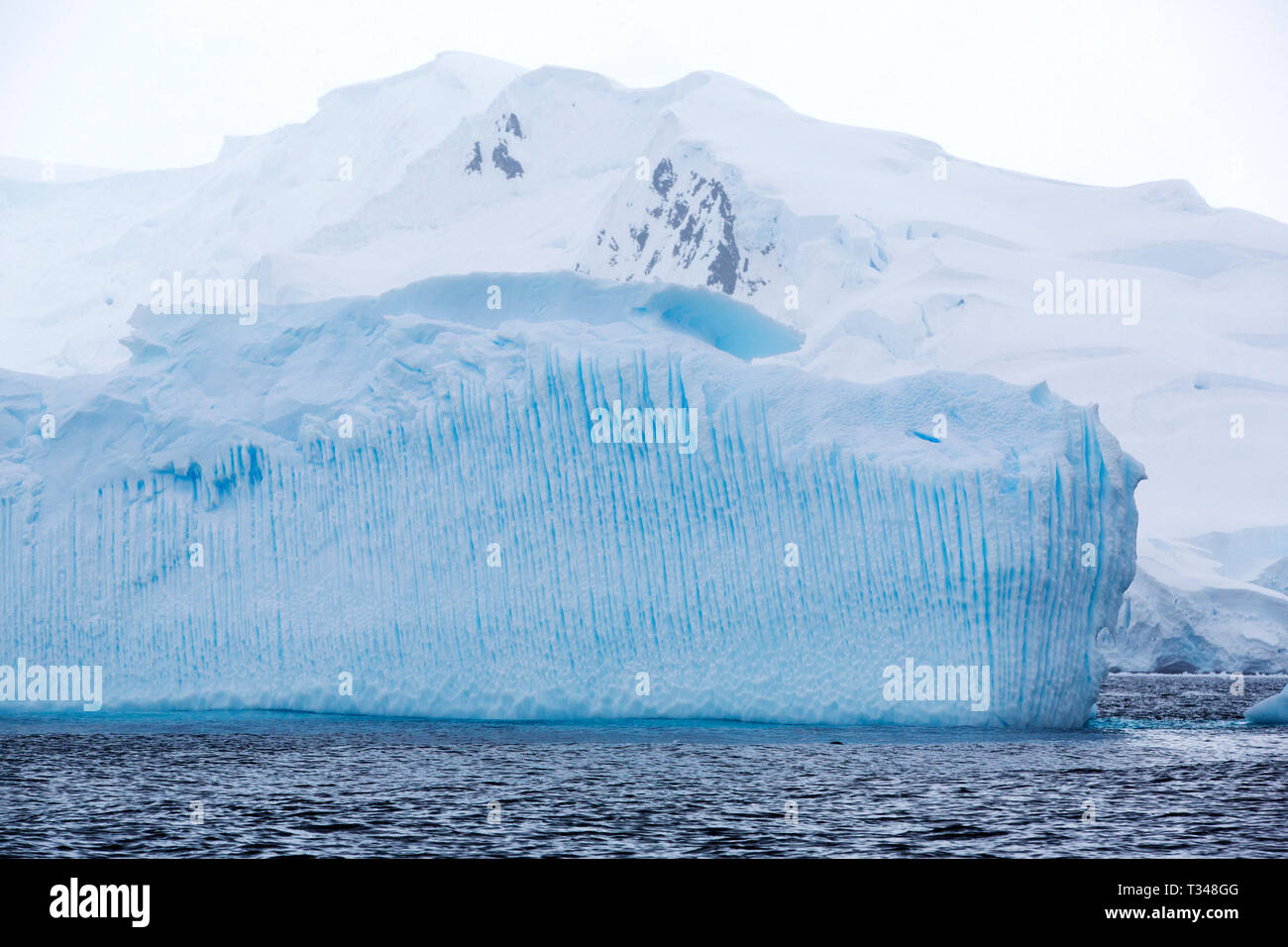 Icebergs off Anvers Island, in the Palmer Archipelago, Antarctica Stock ...