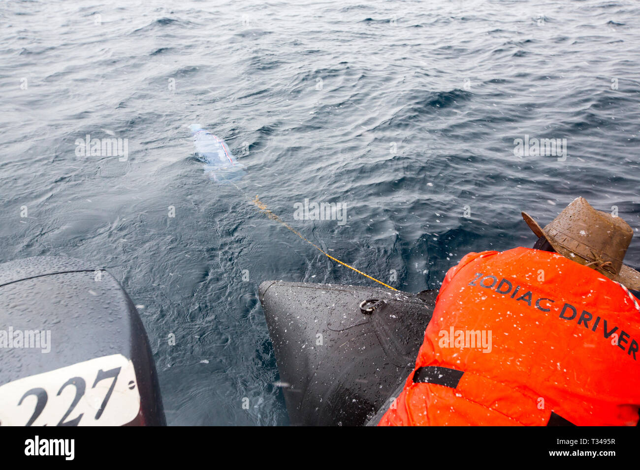 A scientist working on citizen science on an Antarctic cruise ship ...