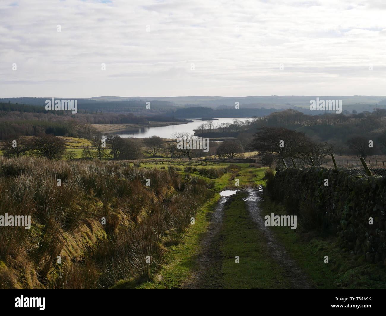 A winter view of Stocks Reservoir, at the head of the Hodder Valley in ...