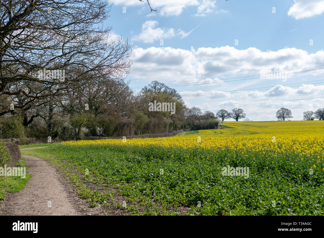 Warwickshire afternoon summer spring hi-res stock photography and ...
