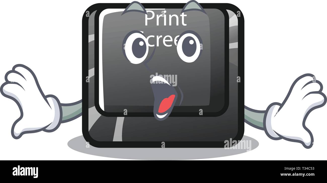 Print Screen Button