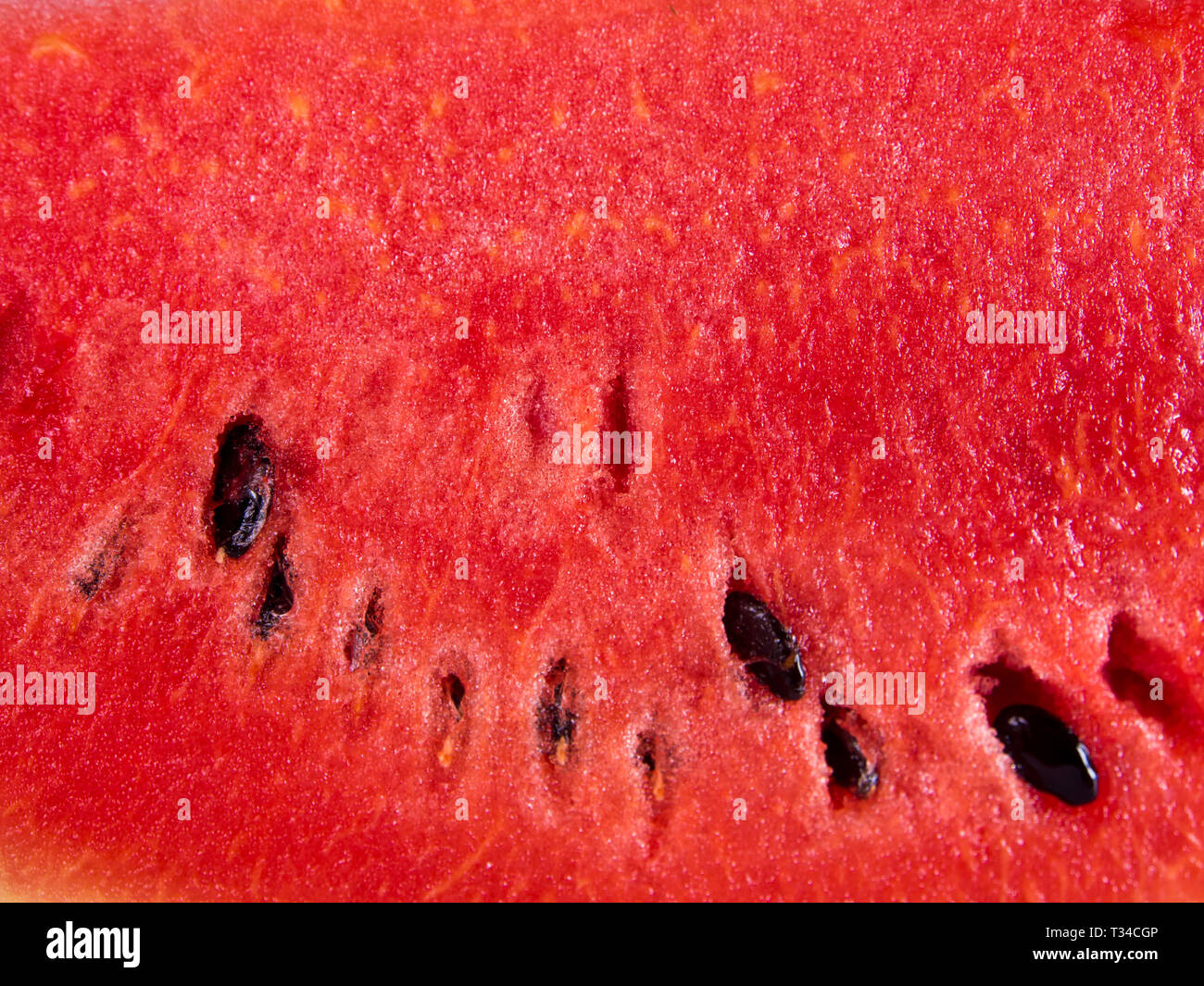 Watermelon texture hi-res stock photography and images - Alamy