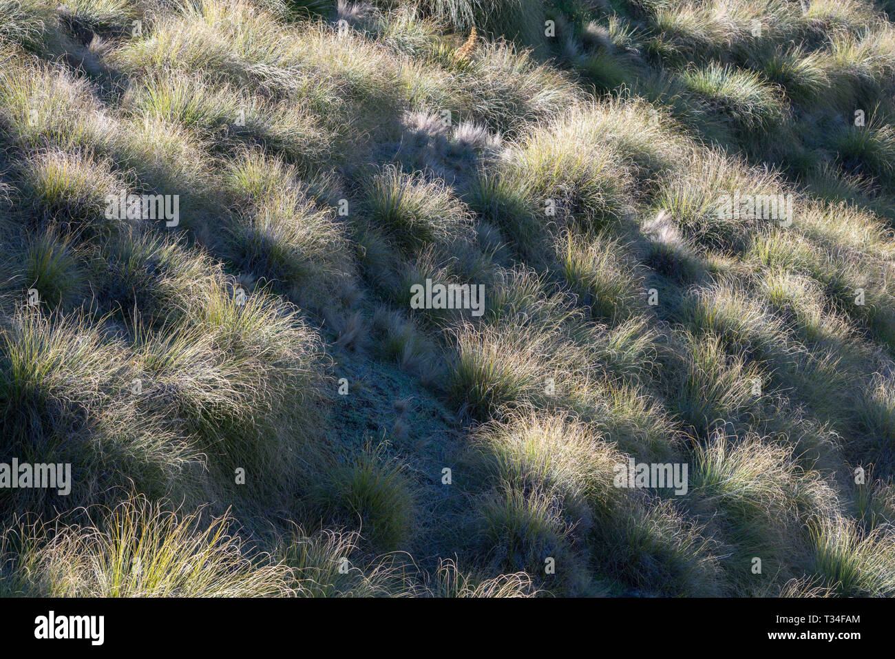 Volume growth hi-res stock photography and images - Alamy