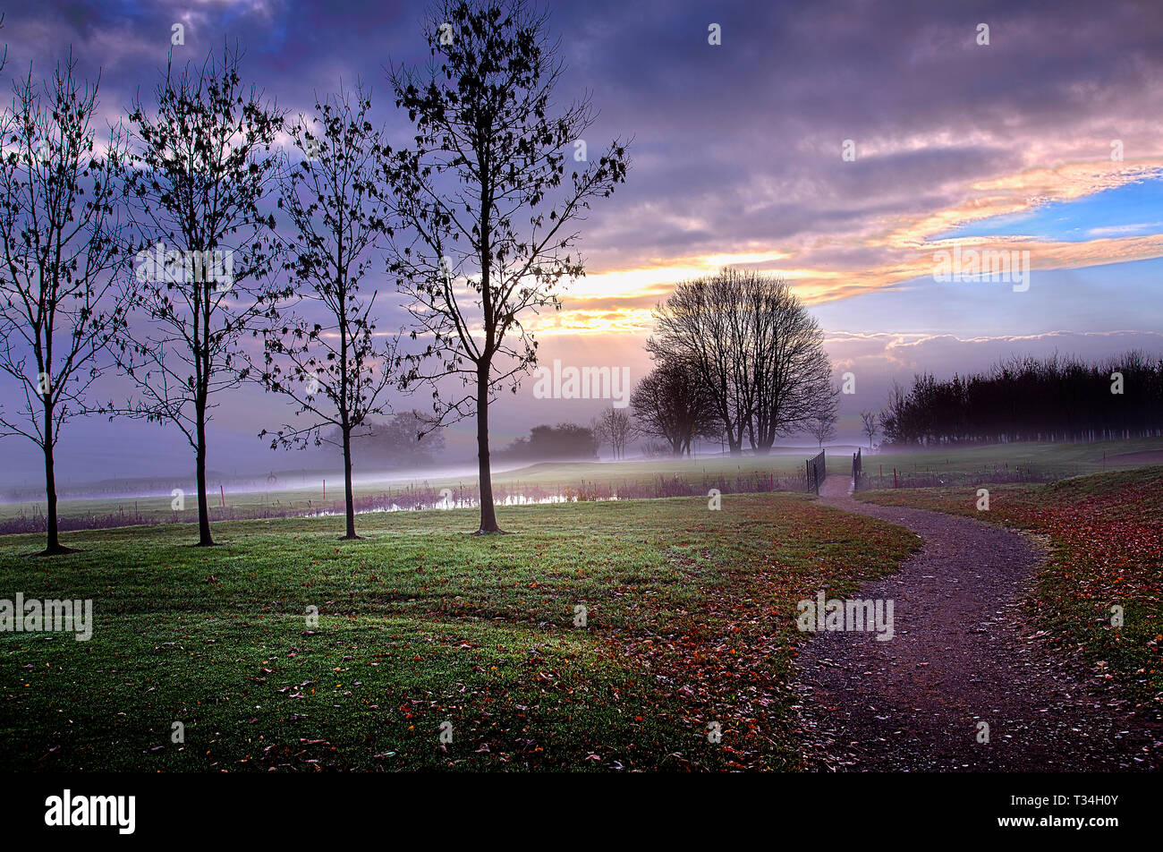Tollard royal hi-res stock photography and images - Alamy