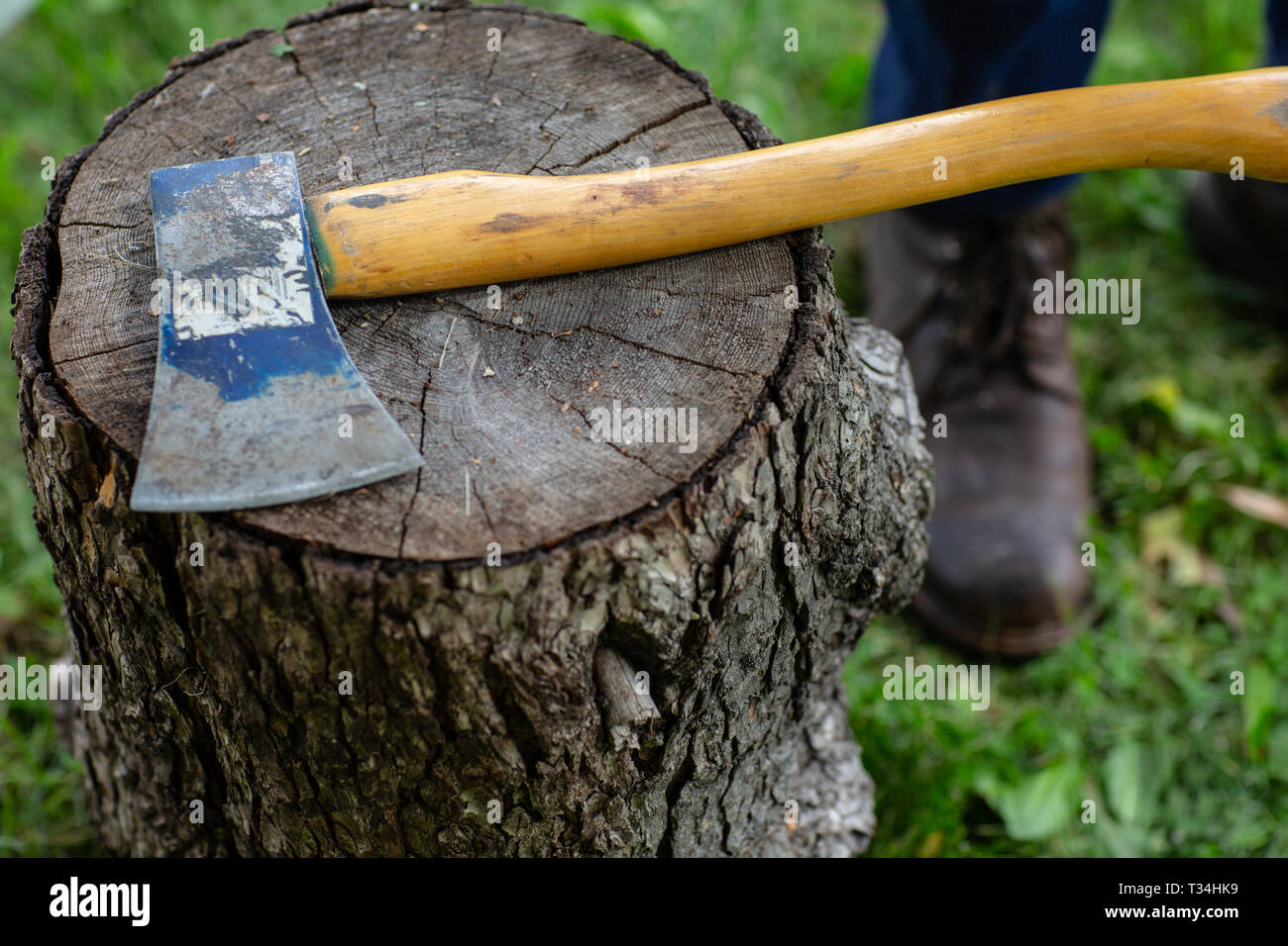 Man standing next to an axe on a stump of wood, United States Stock ...