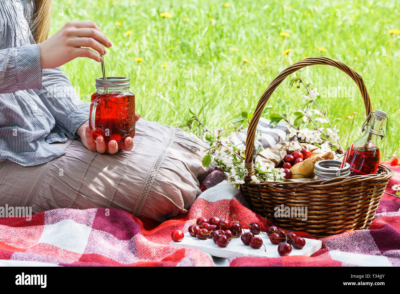 Young woman on a picnic in a park. Basket with food, cherry berries and ...