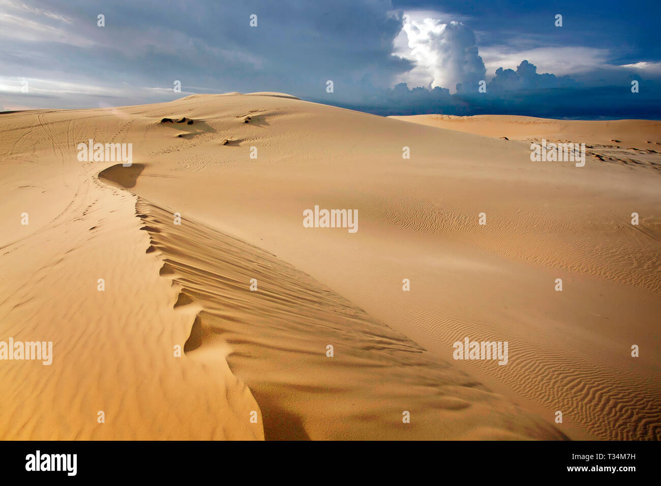 Desert sand dunes, Mui Ne, Bình Thuan Province, Vietnam Stock Photo - Alamy
