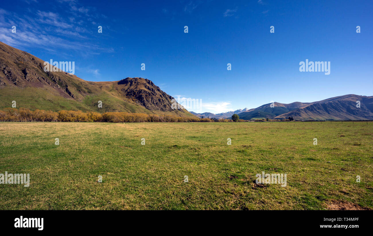 New zealand landscape nature hi-res stock photography and images - Alamy