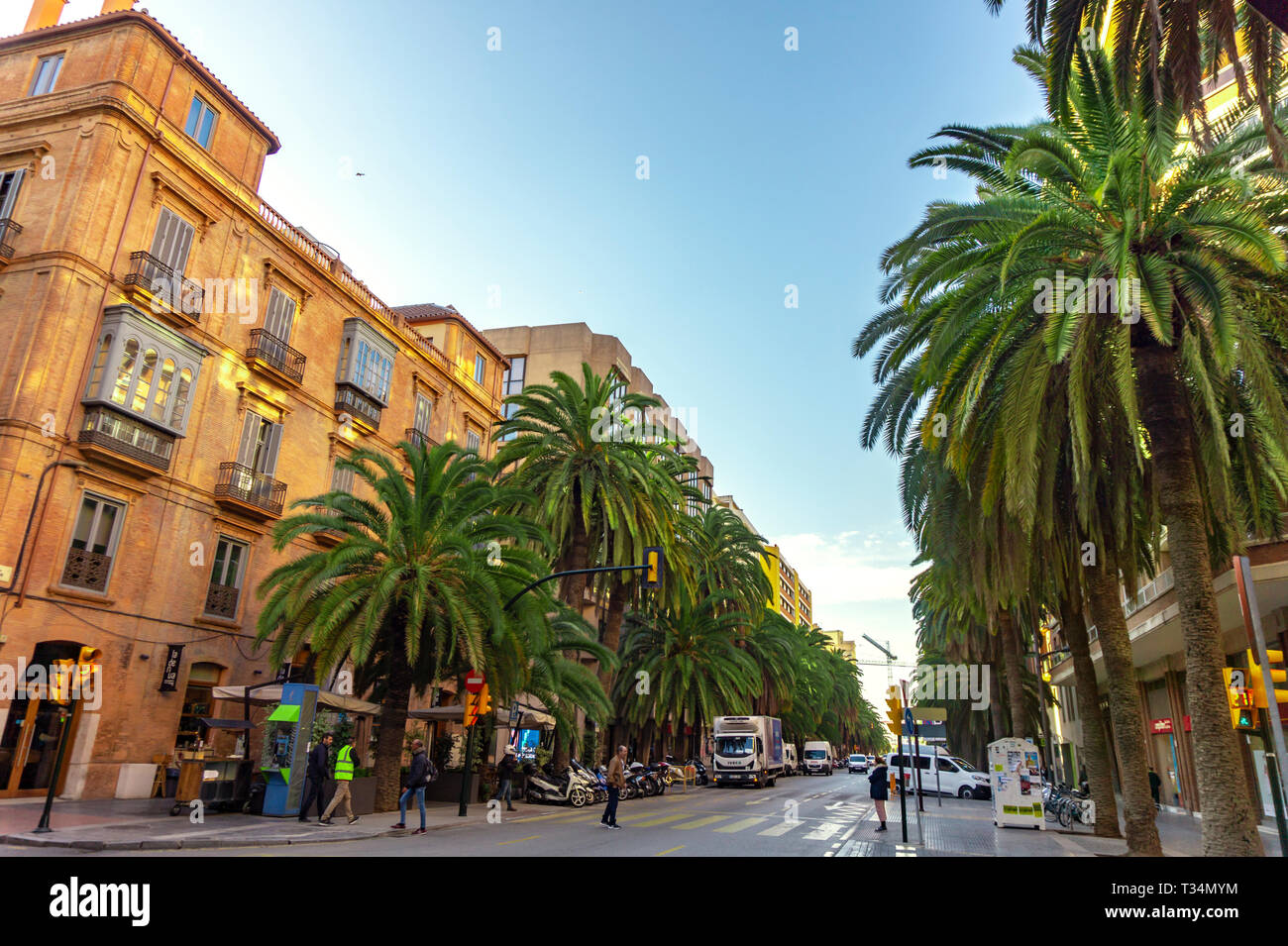 Malaga, Spain 04. 03. 2019: Big green palm trees on the Alameda de ...